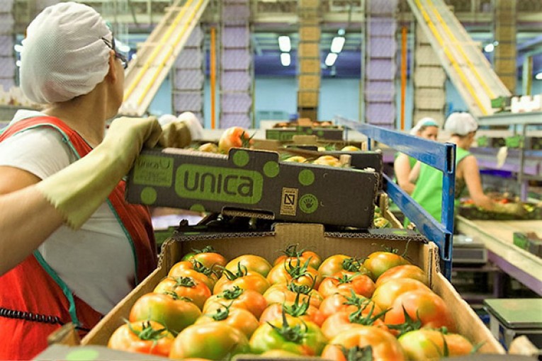 Única Group quintuplica sus exportaciones a Polonia - agroautentico.com