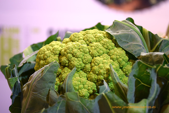 La huerta de Navarra en la feria. Coliflor, brócoli y alcachofa con IGP ...