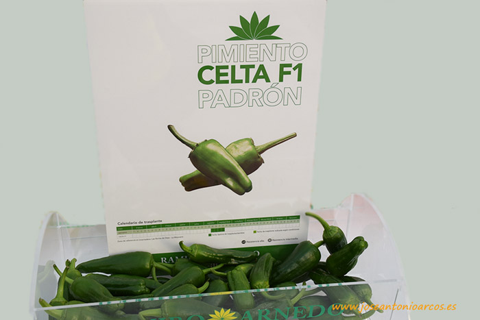 Ramiro Arnedo universaliza pimientos locales como Padrón o tipo Cristal ...