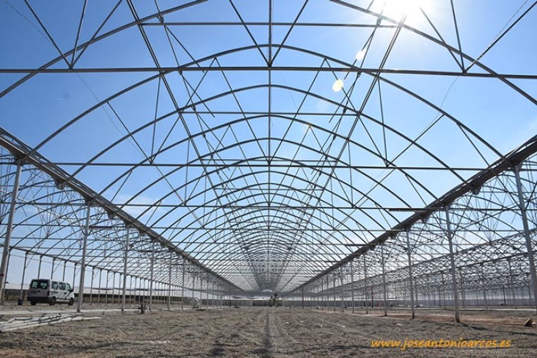 El Plantel levanta el mayor semillero de El Ejido - agroautentico.com