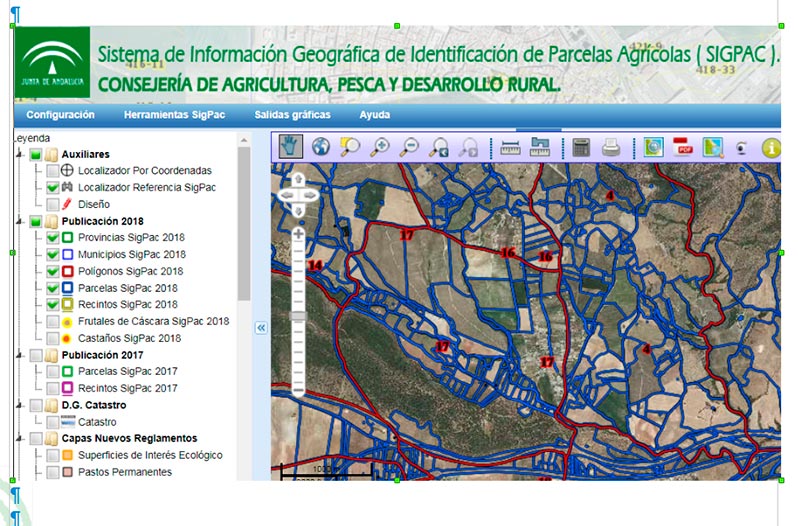Se actualiza el Sigpac para identificar parcelas agrícolas ...