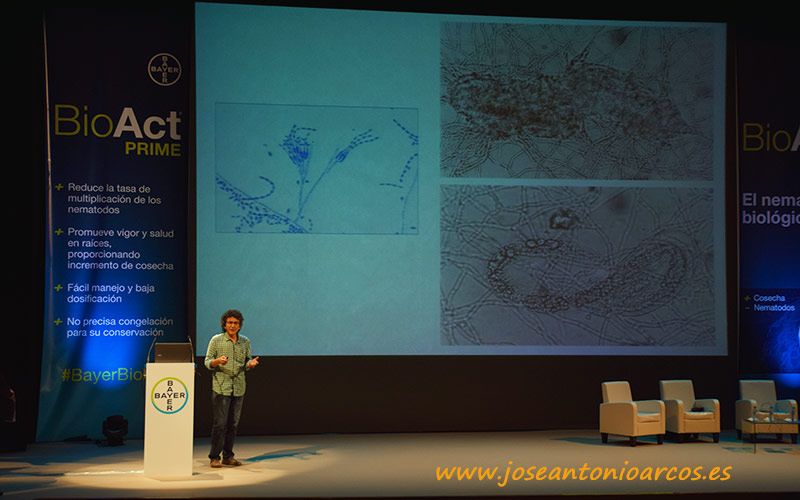 El control biológico bajo suelo. Bayer lanza el nematicida BioAct Prime ...