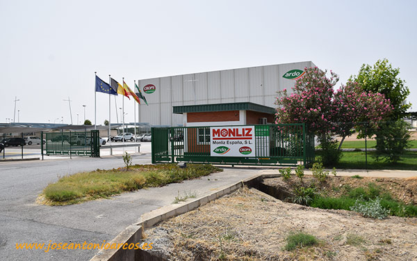 Extremadura arranca su campaña de tomate de industria - agroautentico.com