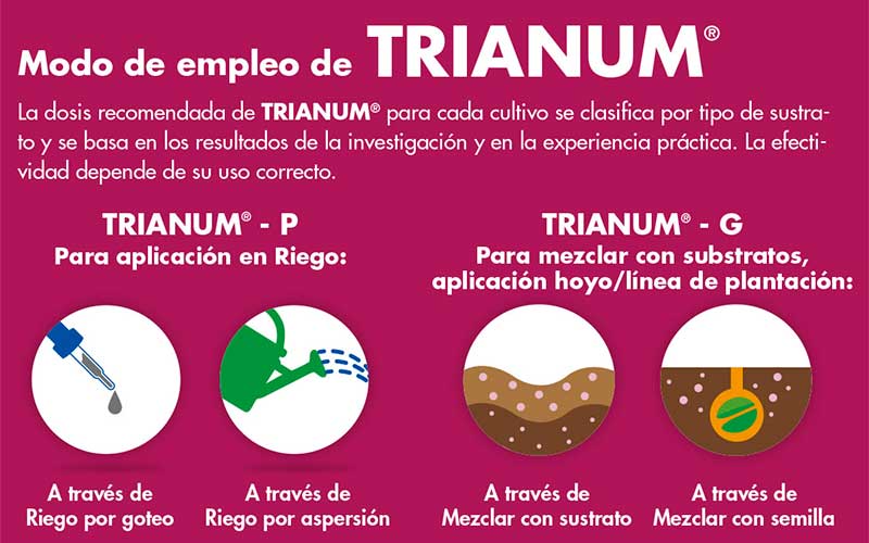 Tras la desinfección, Trianum devuelve la vida al suelo - agroautentico.com