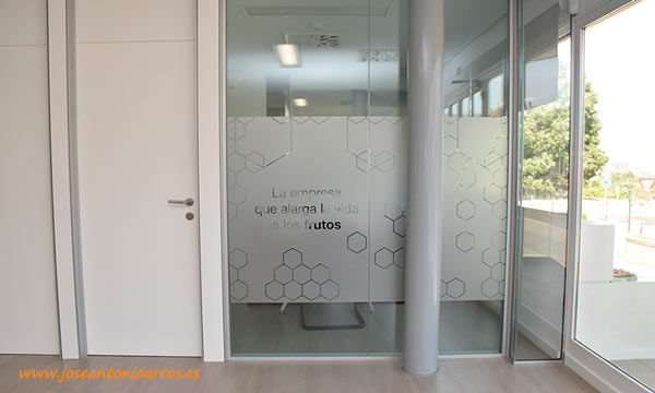 "Con Citrocide Palta, Fresh Cut y Biocare innovamos en aguacate, IV ...