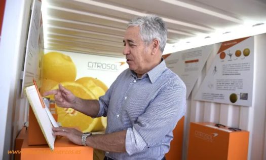 Citrosol rompe barreras a la poscosecha en aguacate y mango ...