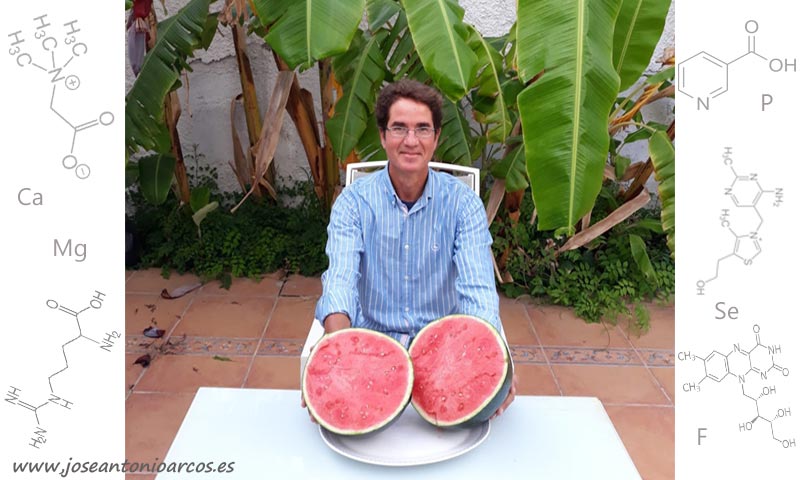 Potencial quimiopreventivo de la sandía. Fundamentos científicos ...