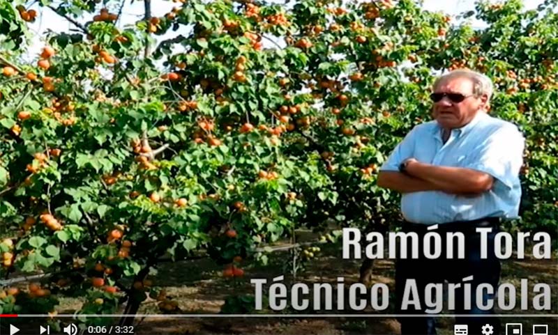 Green Has pone en marcha su proyecto audiovisual para “oír la voz del ...