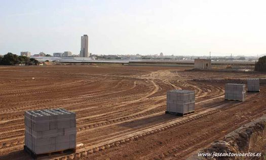 El Ejido, líder en invernaderos con 13.100 hectáreas - agroautentico.com