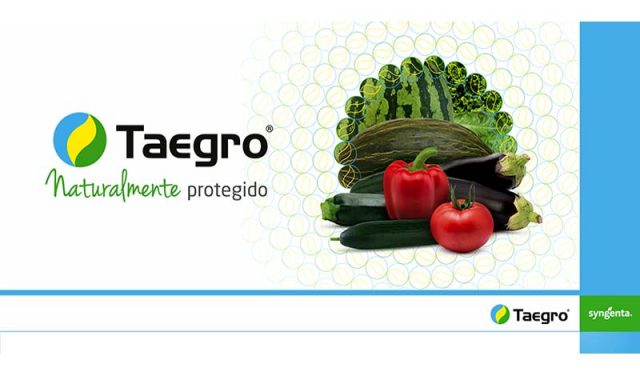Nuevo biofungicida de amplio espectro para cultivos hortícolas ...