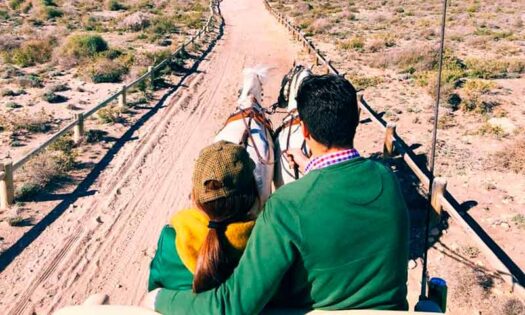 La última entrevista de Joaquín López ‘Bernabé’ - agroautentico.com