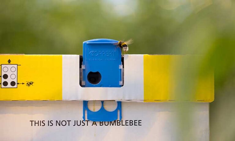 Koppert mejora con Natupol Excel y Vidi Terrum la polinización en ...