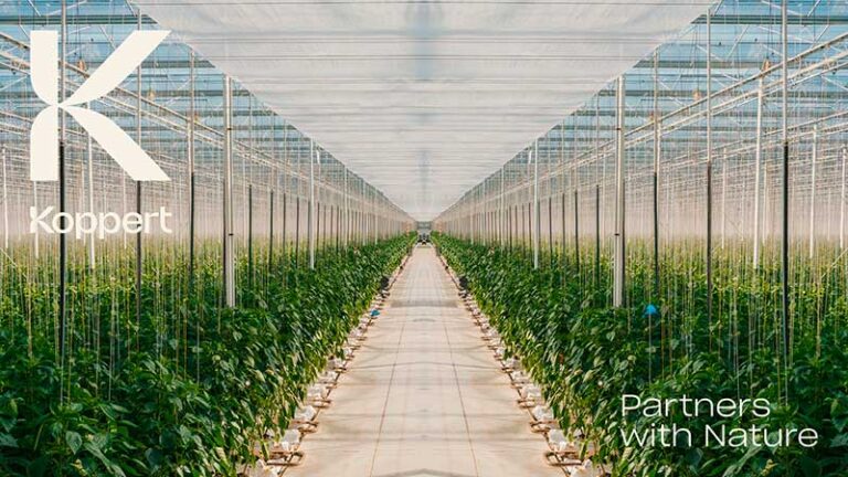 Koppert lanza nueva imagen de marca inspirada en la Naturaleza ...