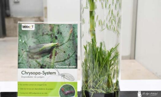 Biobest inaugura sus nuevas instalaciones en Almería | agroautentico.com