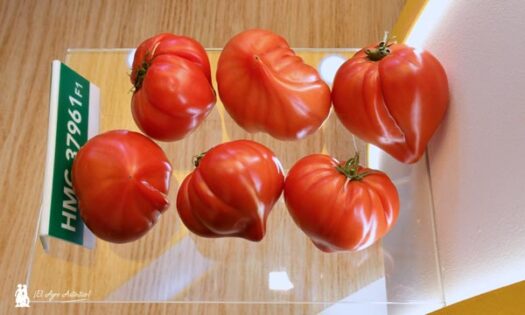 El corazón invertido de HM.Clause sorprende en la feria | agroautentico.com