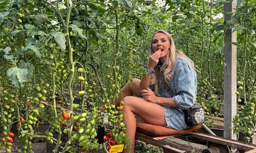 Influencers alemanes bajo los invernaderos solares - agroautentico.com