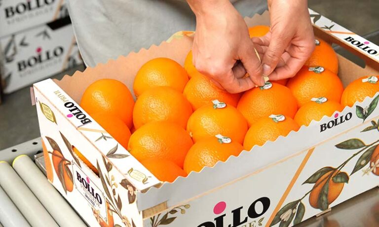 Bollo International Fruits y The Natural Fruit Company caminarán juntas - agroautentico.com