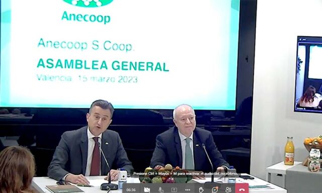 Anecoop aumenta la facturación un 4,2% en un complejo ejercicio - agroautentico.com