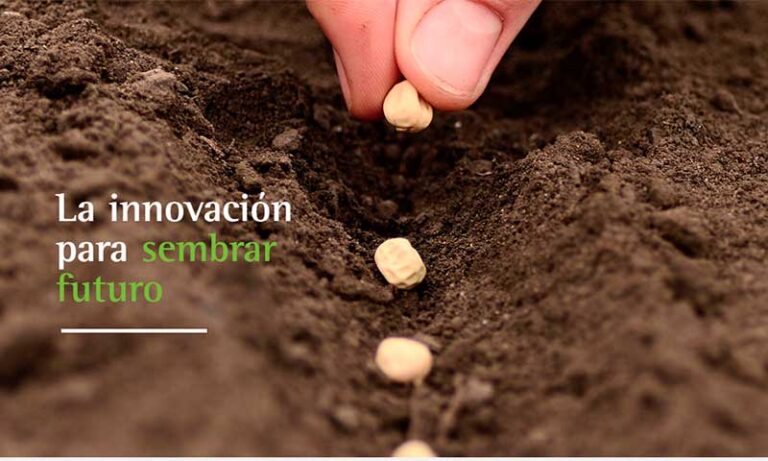 El 6 de junio será la primera gala de los Premios Anove - agroautentico.com