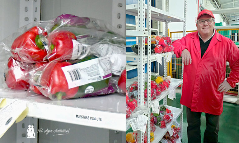 Vicasol presenta sus credenciales en robotización en líneas de tomate y ...