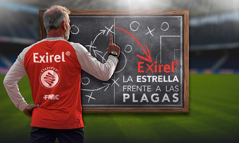 FMC obtiene el registro del insecticida para aplicación foliar Exirel ...